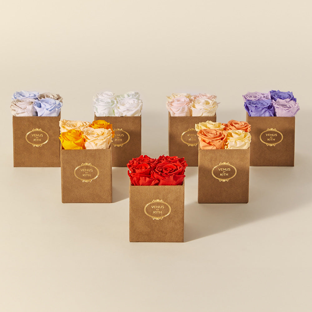 Kith for Venus et Fleur 2024 Monday Program™ – Kith Japan